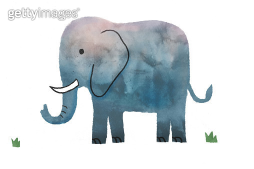 MMEI15000004 : 유사이미지 - 게티이미지코리아