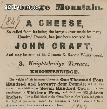 700 : 검색결과 - 게티이미지코리아