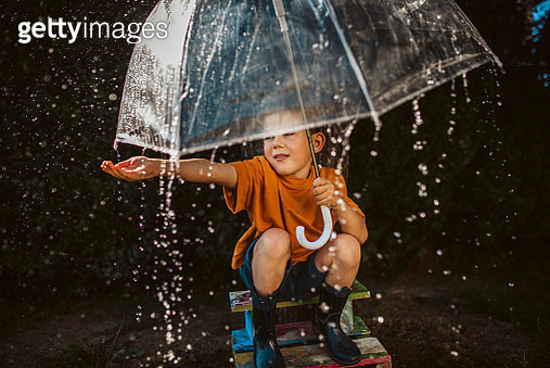 우산 : 검색결과 - 게티이미지코리아